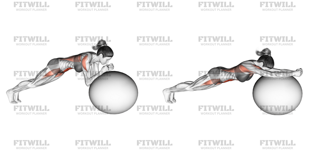 Stability Ball Rollout: Exercise Guide, Techniques, Benefits, How to ...