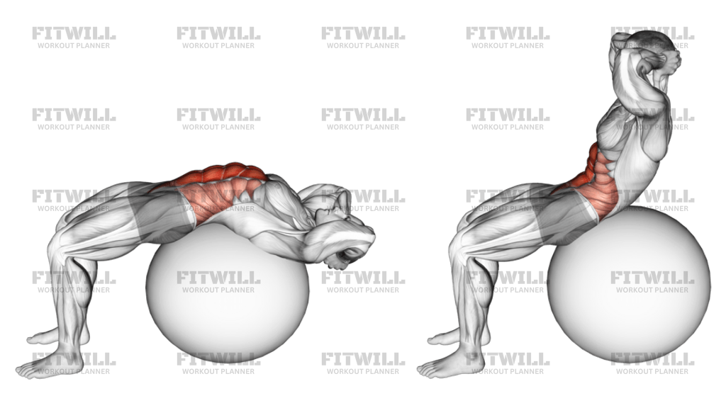 Stability Ball Crunch Full Range Hands Behind Head: Exercise Guide ...