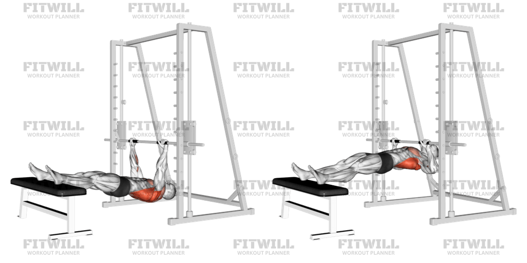 Inverted Row On Bench: Exercise Guide, Techniques, Benefits, How to ...