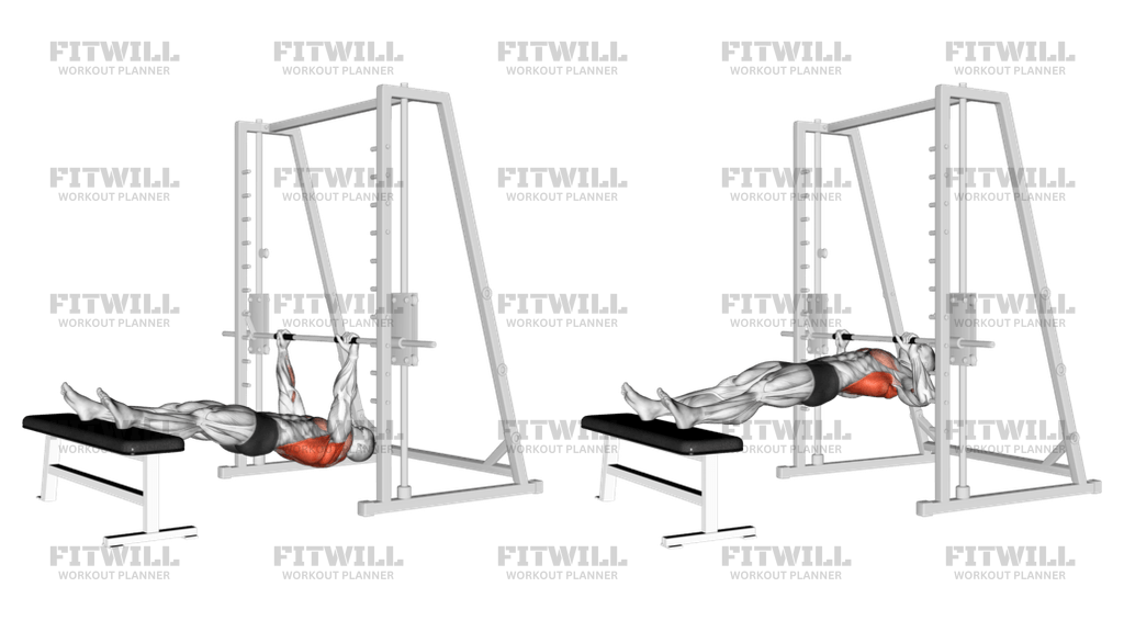 Remo Invertido En Banco: Guía de Ejercicios, Técnicas, Beneficios, Cómo ...