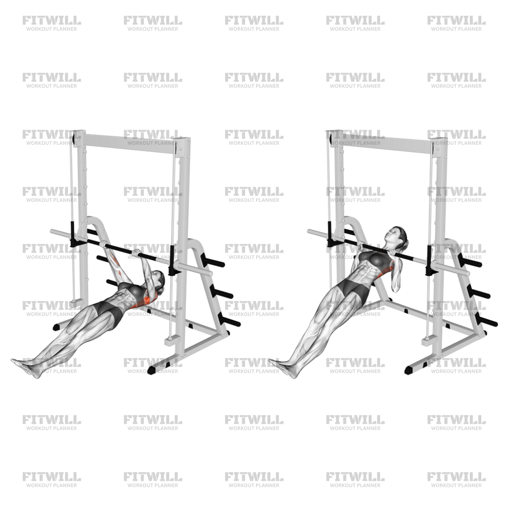 Inverted Row: Exercise Guide, Video, Techniques, Benefits, How to ...