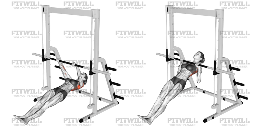 Inverted Row: Exercise Guide, Video, Techniques, Benefits, How to, Muscles Worked, Tips & Tricks ...