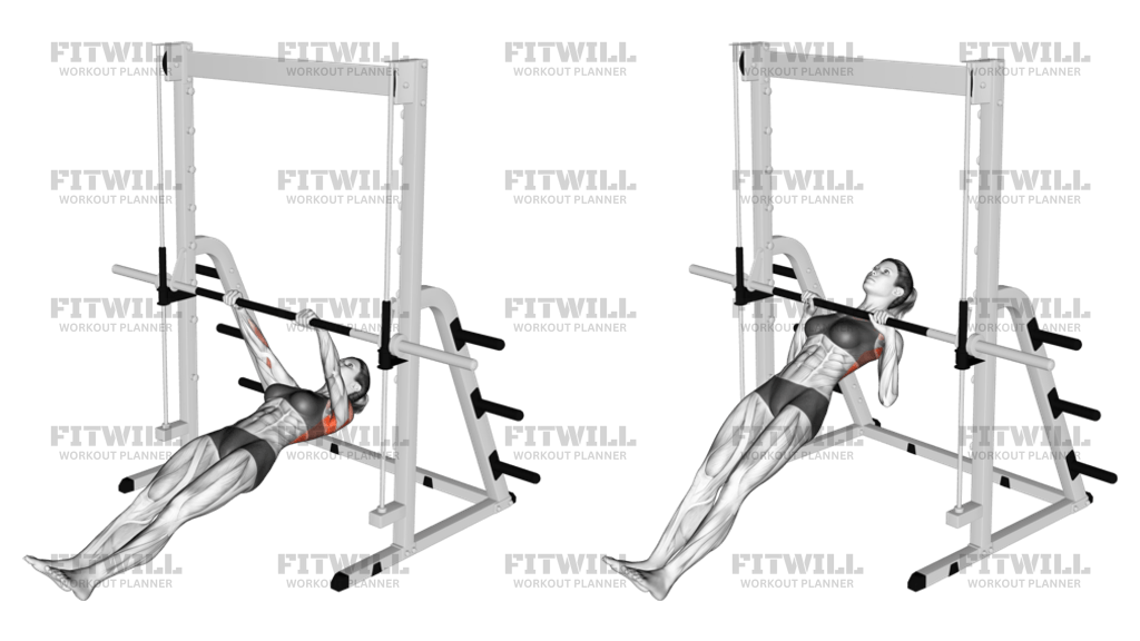 Remada Invertida: Guia de Exercícios, Vídeo, Técnicas, Benefícios, Como Fazer, Músculos ...