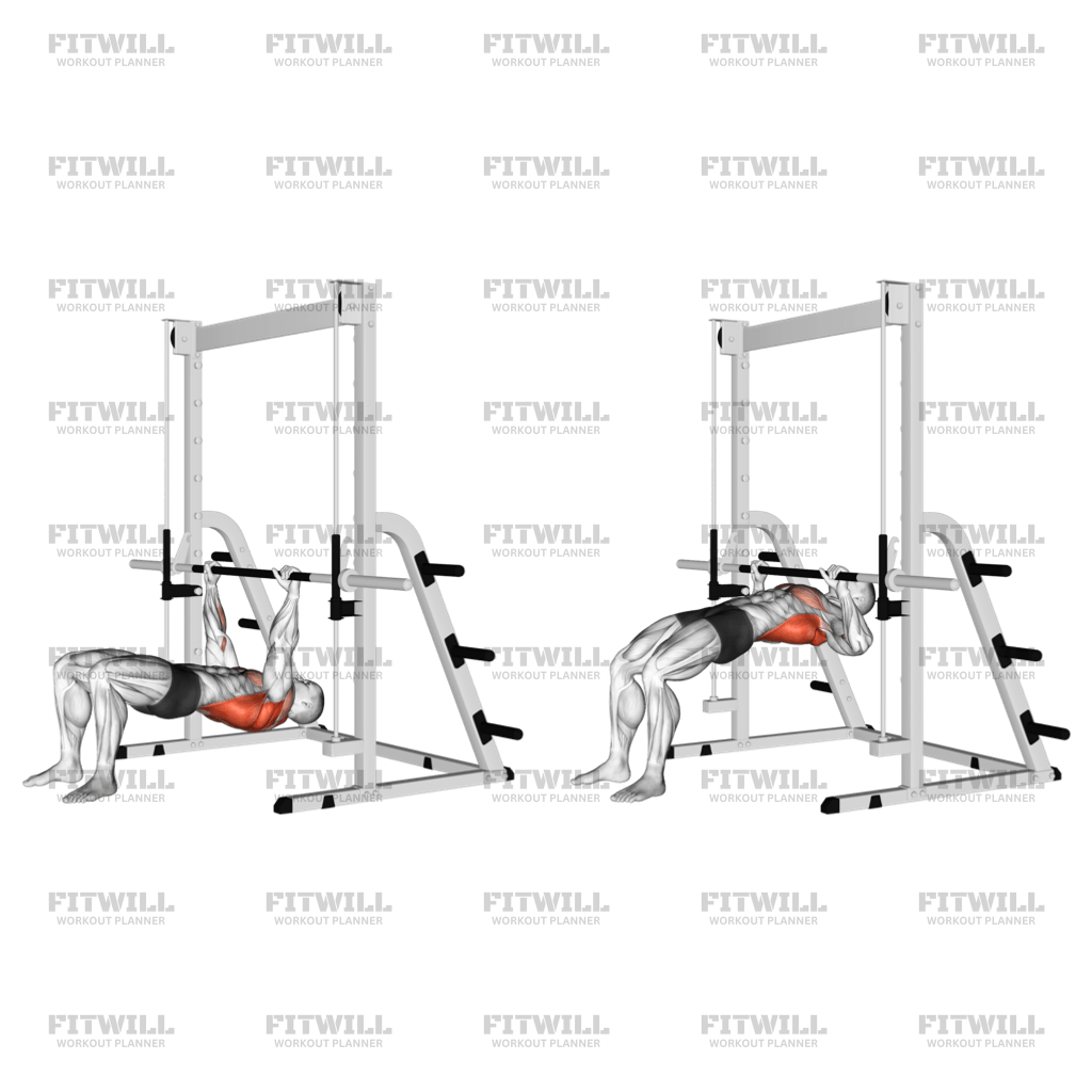 Inverted Row Bent Knees: Exercise Guide, Video, Techniques, Benefits ...