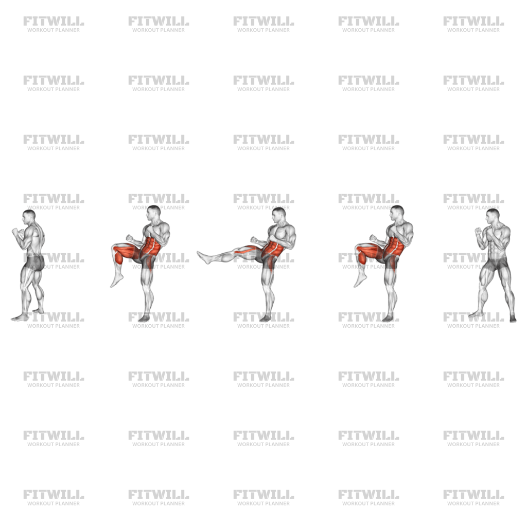 Front Groin Kick Kickboxing: Exercise Guide, Techniques, Benefits, How ...