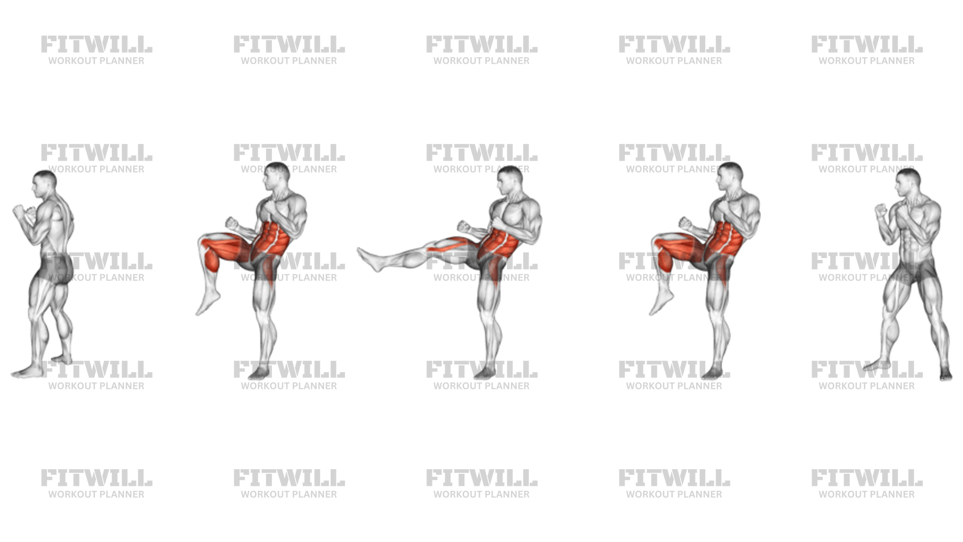 Front Groin Kick. Kickboxing: Exercise Guide, Techniques, Benefits, How ...