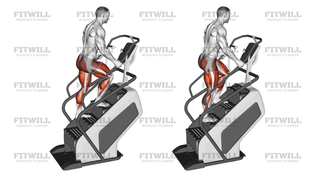 Walking On Stepmill: Exercise Video | Fitwill