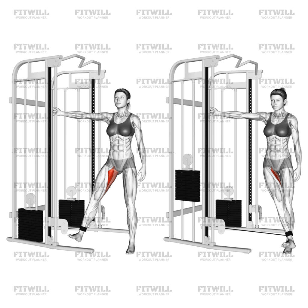 Cable Hip Adduction: Exercise Guide, Video, Techniques, Benefits, How ...