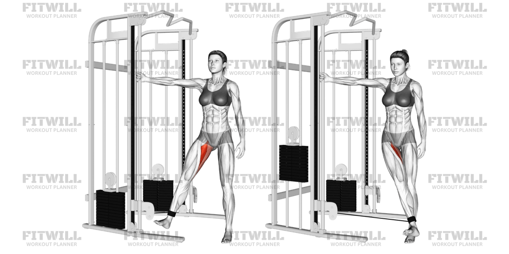 Cable Hip Adduction: Exercise Guide, Video, Techniques, Benefits, How ...