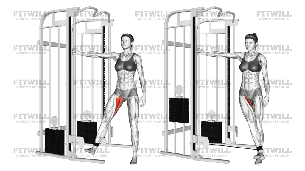 Cable Hip Adduction: Exercise Guide, Video, Techniques, Benefits, How ...