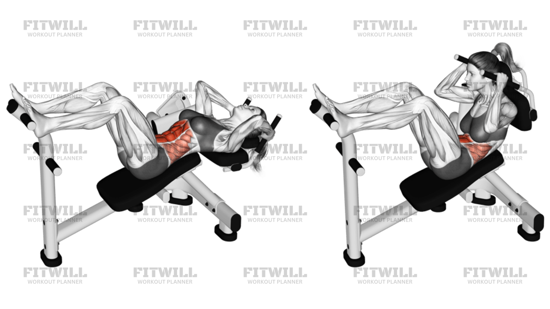 Lever Lying Crunch (VERSION 2): Exercise Guide, Video, Techniques ...