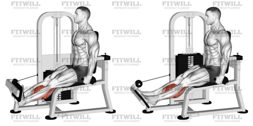 Lever Rotary Calf: Exercise Guide, Video, Techniques, Benefits, How to ...