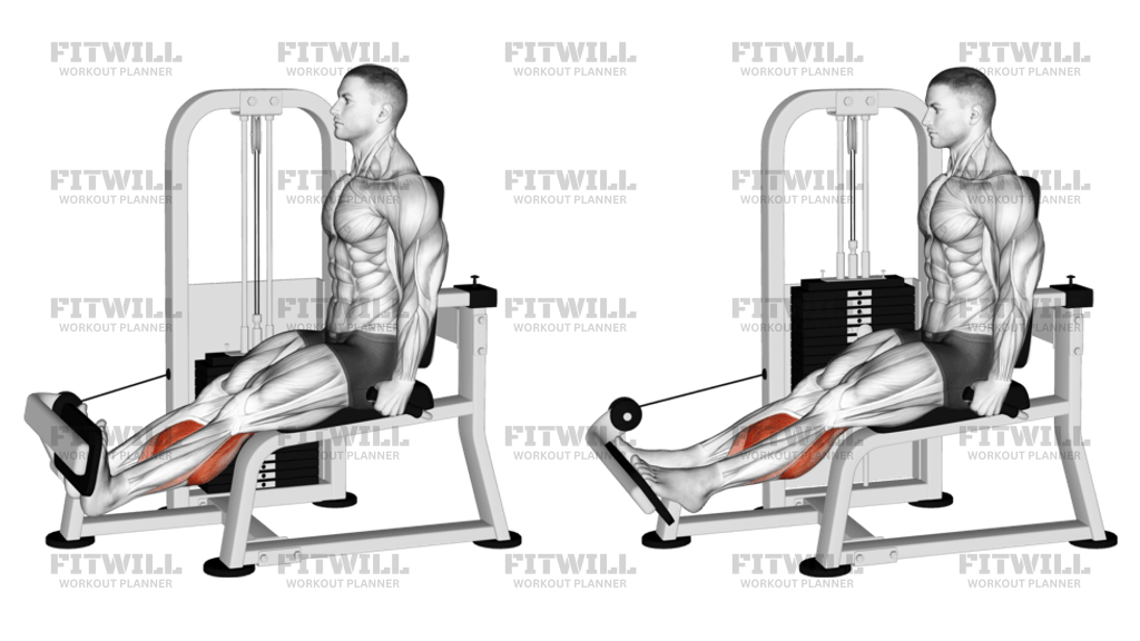 Lever Rotary Calf: Exercise Guide, Video, Techniques, Benefits, How to ...