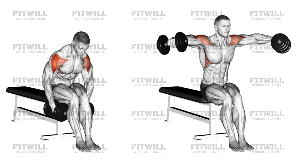 Dumbbell Seated Bent Arm Lateral Raise: Exercise Guide, Video, Techniques, Benefits, How to ...