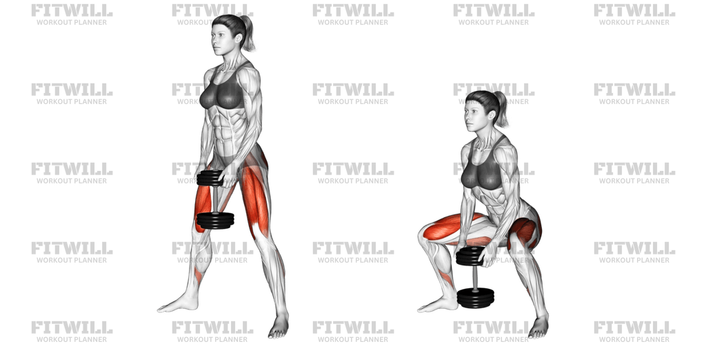 Dumbbell Sumo Squat: Exercise Guide, Video, Techniques, Benefits, How ...