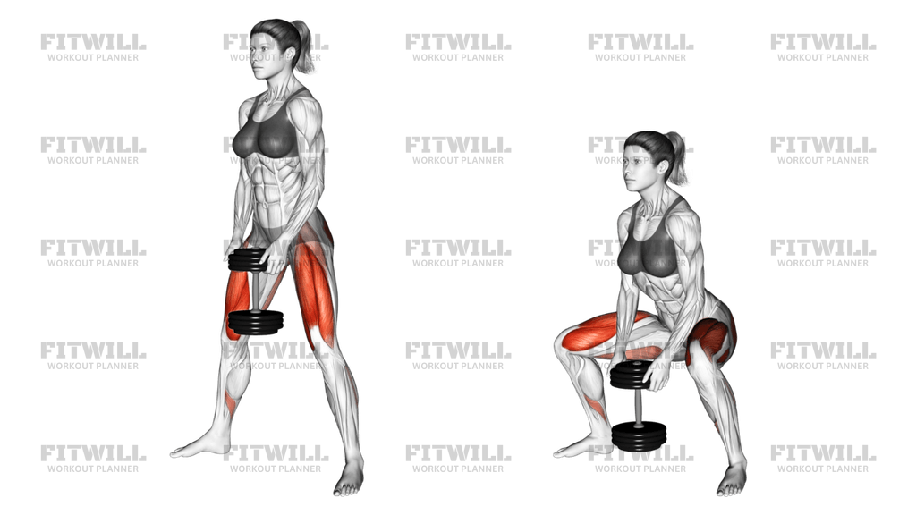 Dumbbell Sumo Squat Exercise Video Fitwill