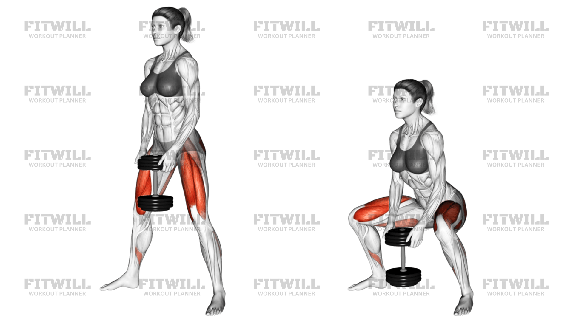Dumbbell Sumo Squat: Exercise Guide, Video, Techniques, Benefits, How ... Dumbbell Sumo Squat: Exercise Guide, Video, Techniques, Benefits, How ...