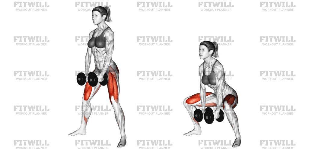 Dumbbells Sumo Squat: Exercise Guide, Techniques, Benefits, How to ...
