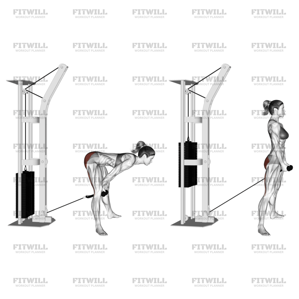 Cable Straight Legs Pull Through (with Rope): Exercise Guide, Video ...