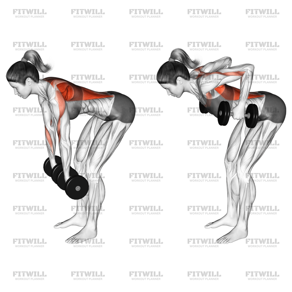 Dumbbell Pronated To Neutral Grip Row: Exercise Guide, Video ...