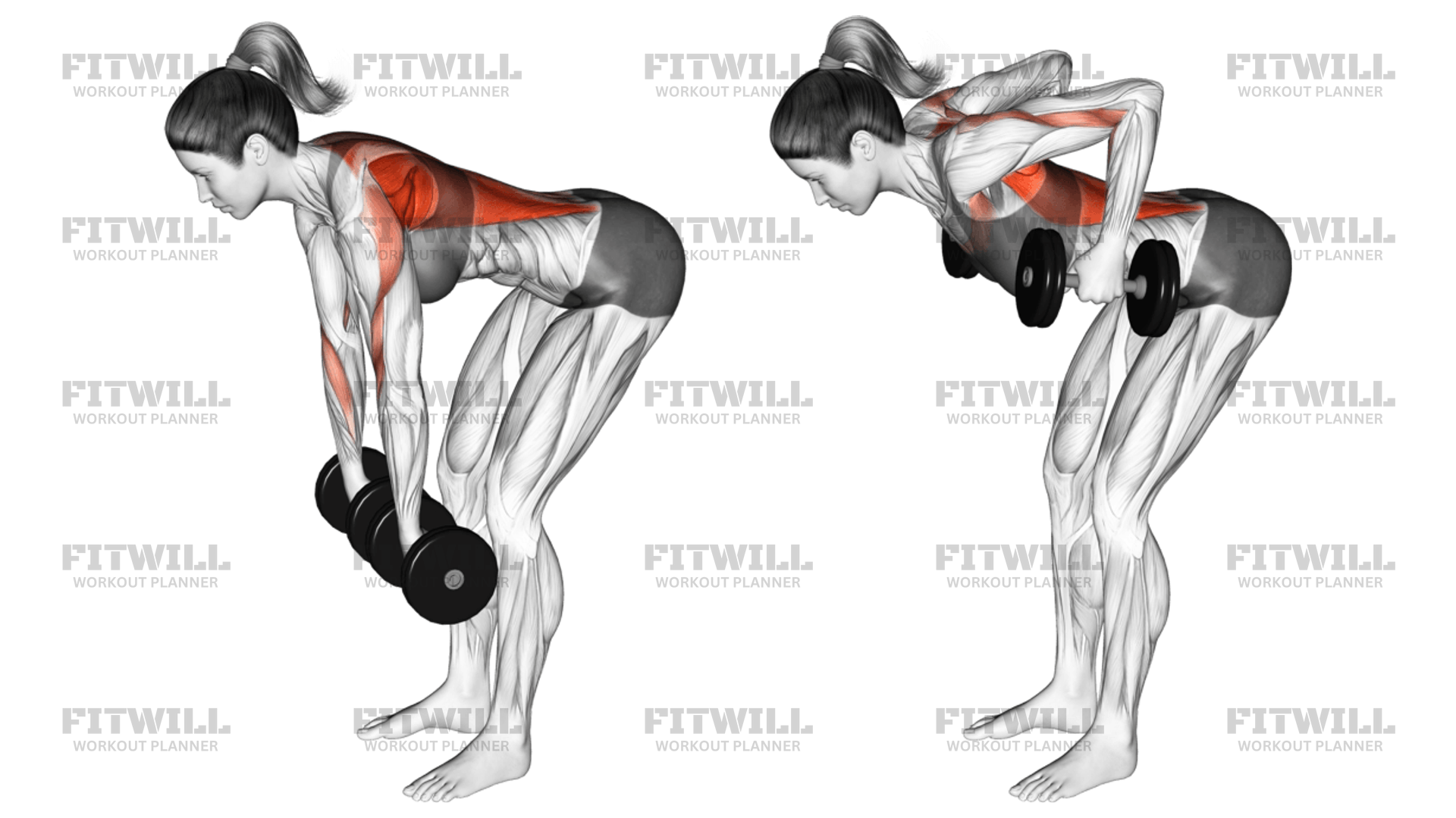Dumbbell Pronated To Neutral Grip Row: Exercise Guide, Video ...