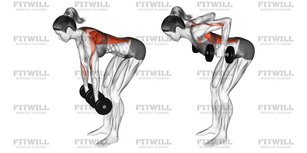 Dumbbell Pronated To Neutral Grip Row: Exercise Guide, Video ...