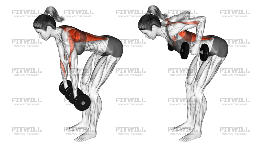 Dumbbell Pronated To Neutral Grip Row: Exercise Guide, Video ...