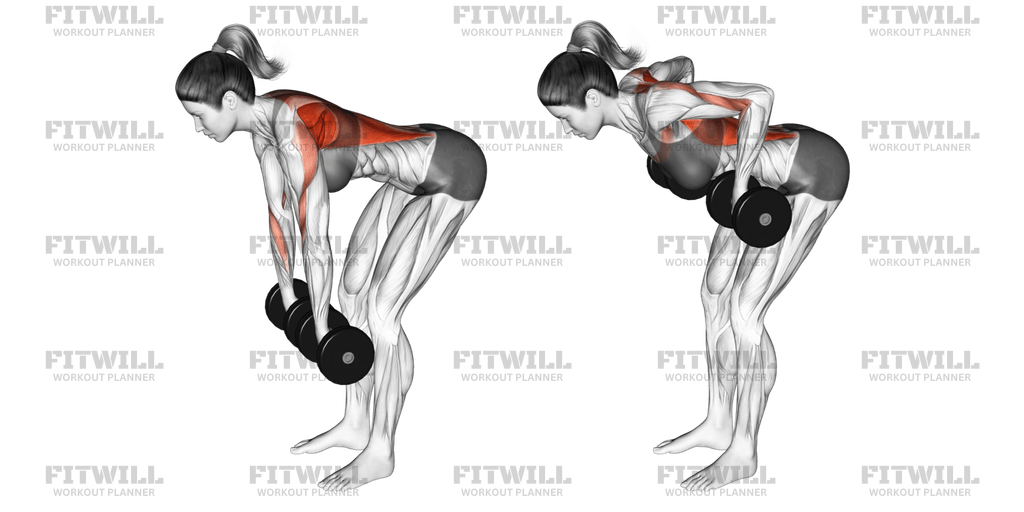 Dumbbell Pronated Grip Row: Exercise Guide, Techniques, Benefits, How ...