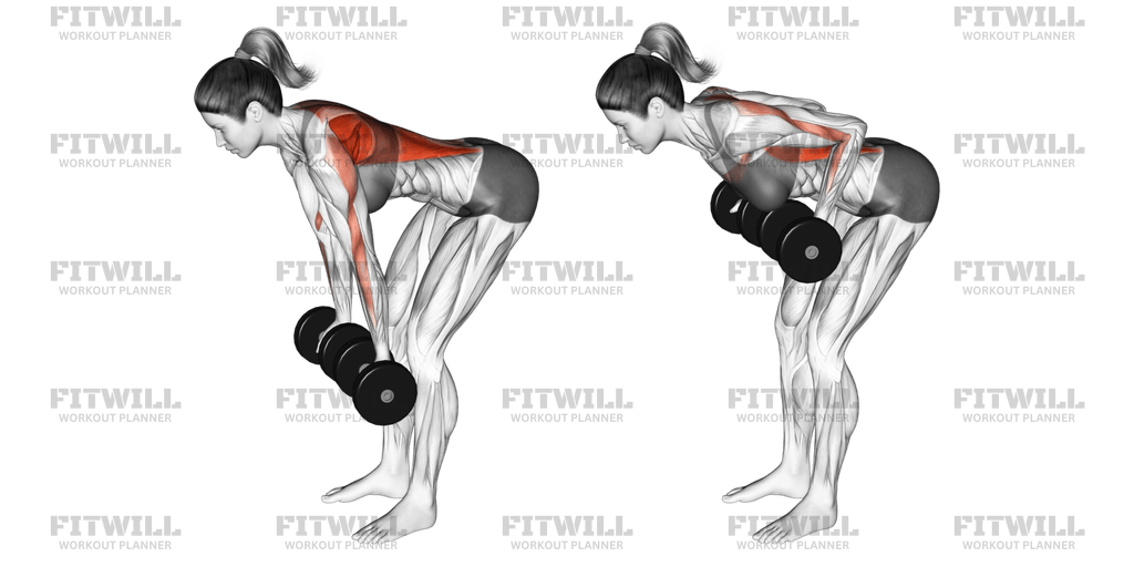 Dumbbell Reverse Grip Row: Exercise Guide, Video, Techniques, Benefits ...
