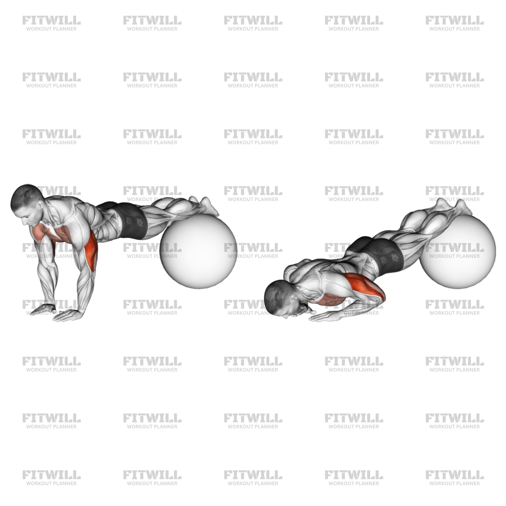 Narrow Push-Up On Exercise Ball: Exercise Guide, Techniques, Benefits ...