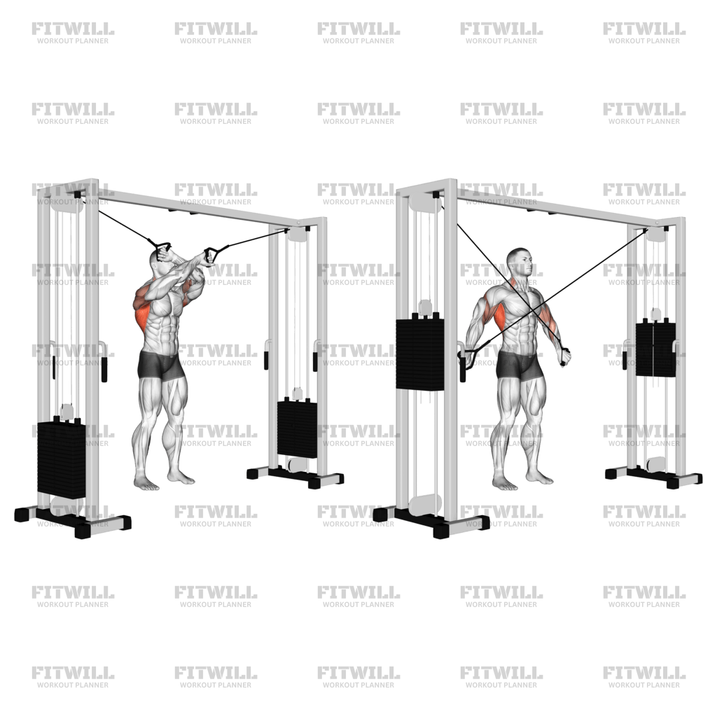 Cable Lat Pulldown Full Range Of Motion: Exercise Guide, Video ...