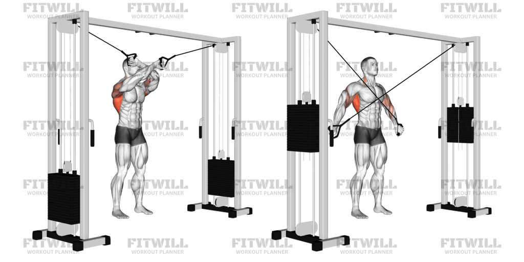 Cable Lat Pulldown Full Range Of Motion: Exercise Guide, Video, Techniques, Benefits, How to ...