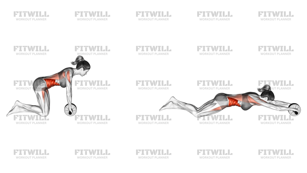 Wheel Rollout: Exercise Guide, Video, Techniques, Benefits, How to, Muscles Worked, Tips ...
