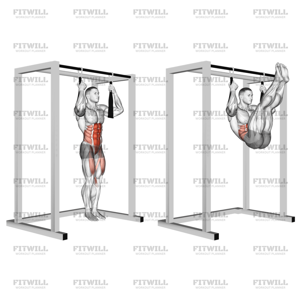 Arm Slingers Hanging Straight Legs: Exercise Guide, Video, Techniques ...