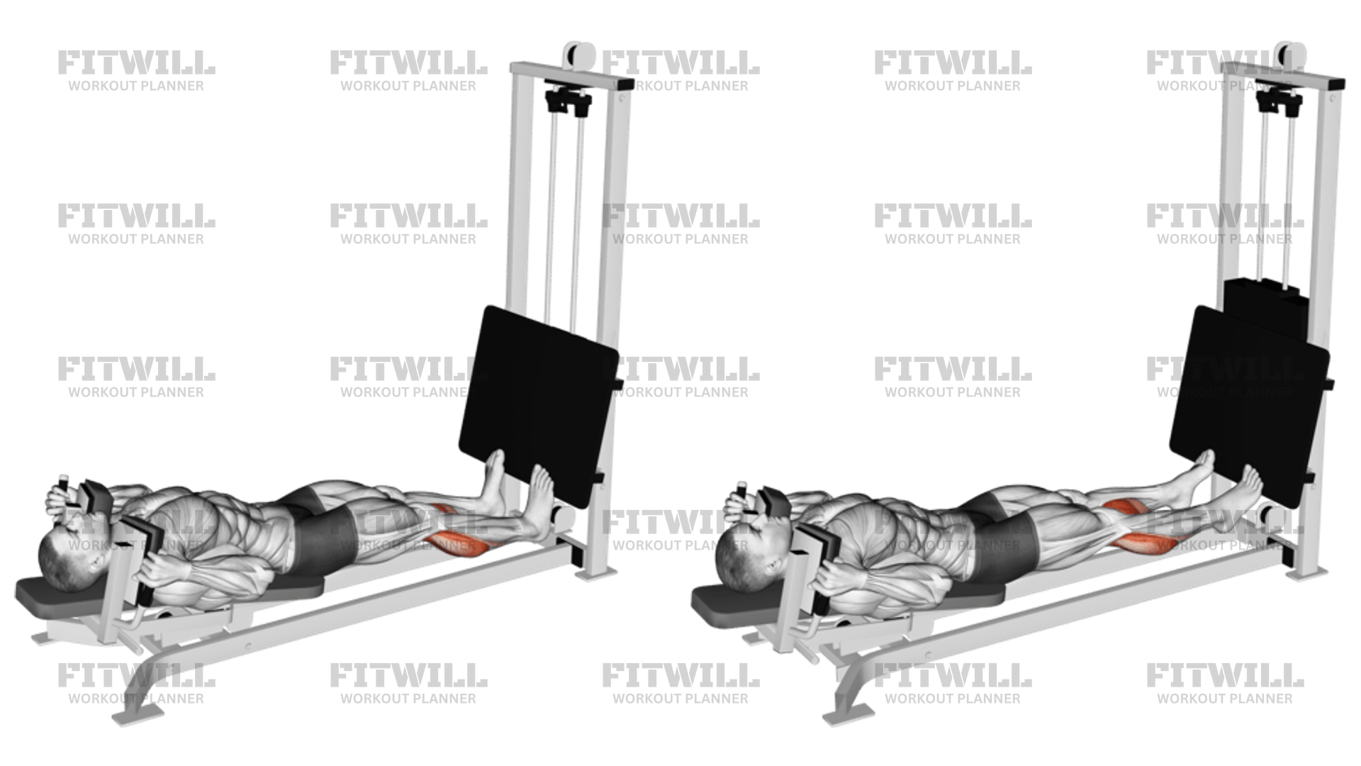 Sled Lying Calf Press: Guide, Techniques, Benefits, How to, Muscles ...