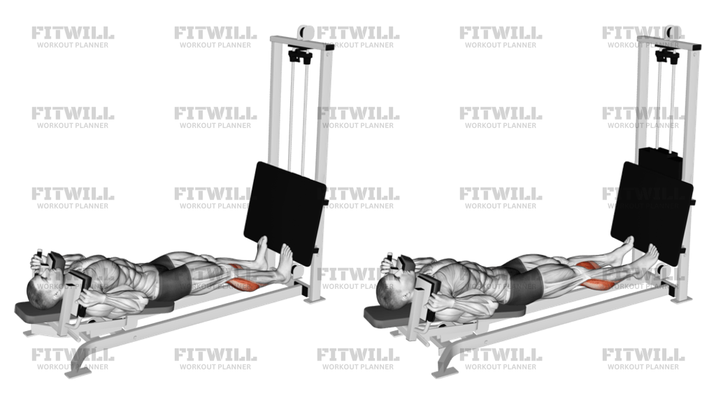Sled Lying Calf Press: Exercise Guide, Techniques, Benefits, How to ...