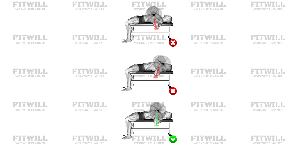 Chest Bench Press - Forearms (WRONG-RIGHT): Exercise Guide, Techniques ...