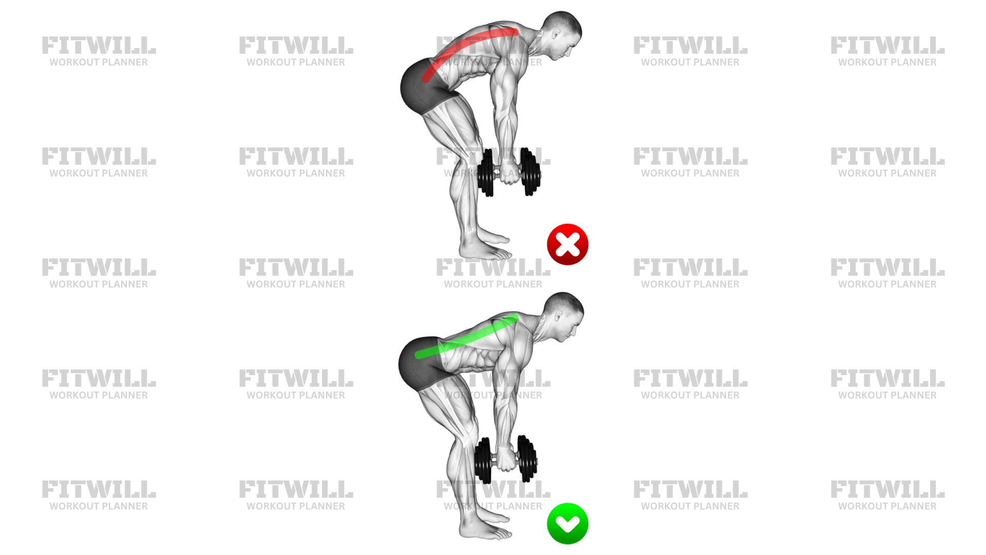 Bent-over Row - Back (WRONG-RIGHT): Exercise Guide, Techniques ...