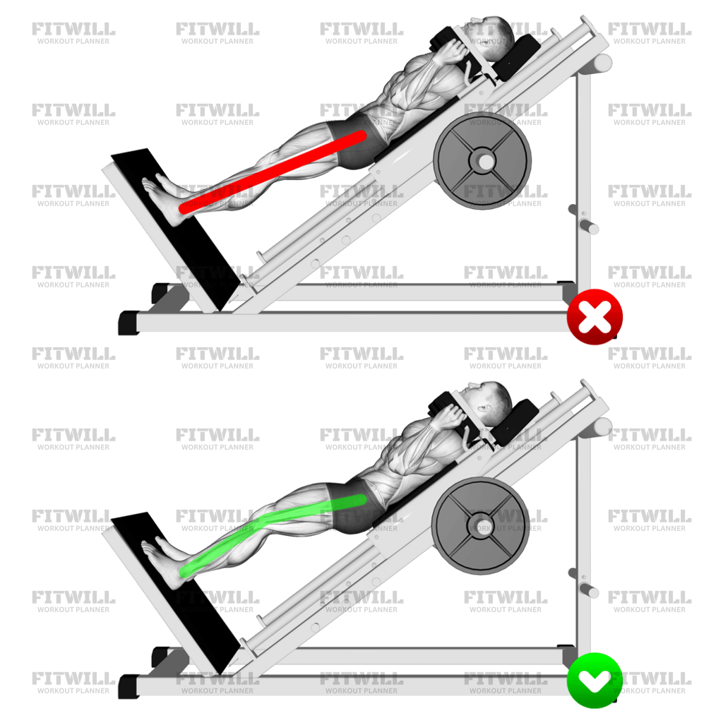 Sled Hack Squat - Legs (WRONG-RIGHT): Exercise Guide, Techniques, Benefits, How to, Muscles ...