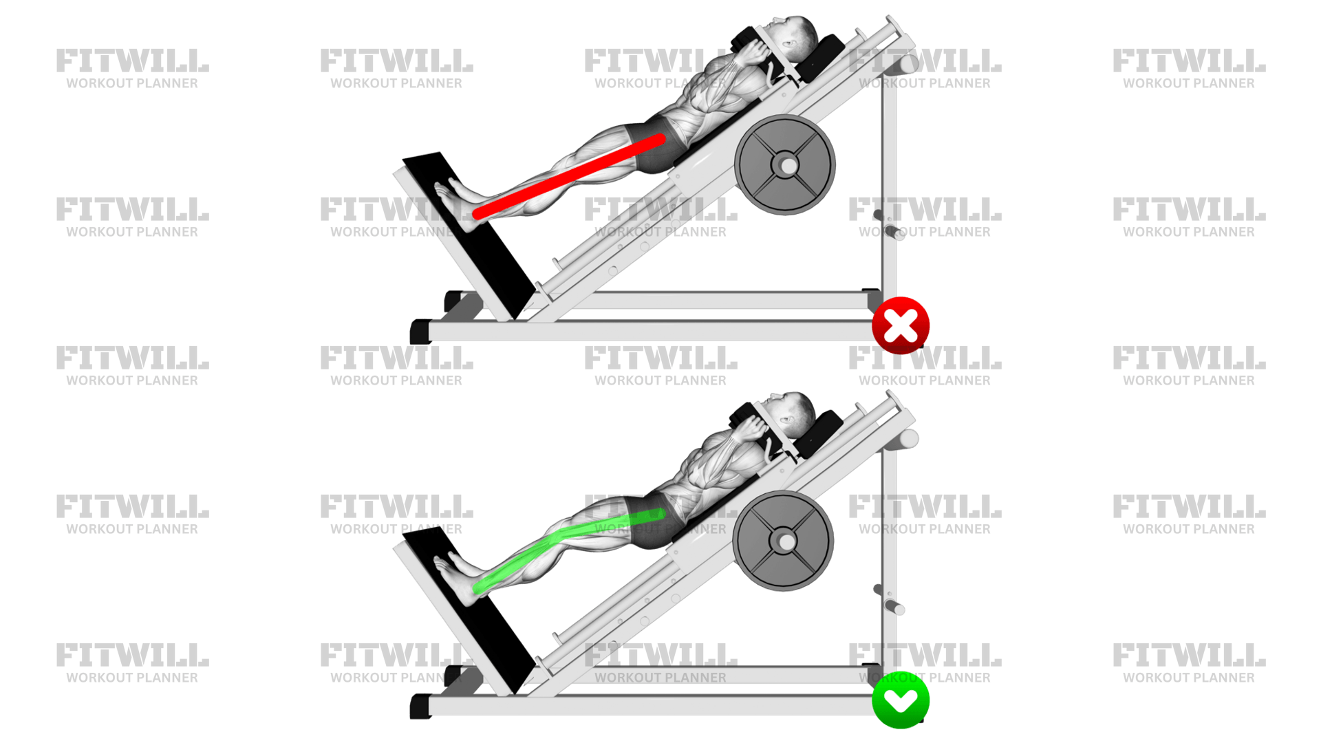 Sled Hack Squat - Legs (WRONG-RIGHT): Exercise Guide, Techniques, Benefits, How to, Muscles ...