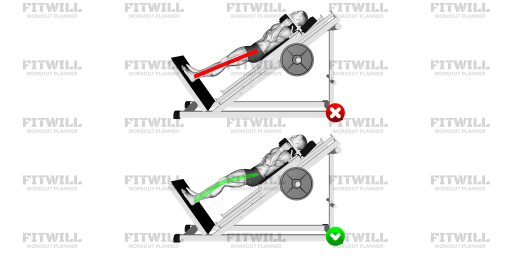 Sled Hack Squat - Legs (WRONG-RIGHT): Exercise Guide, Techniques ...