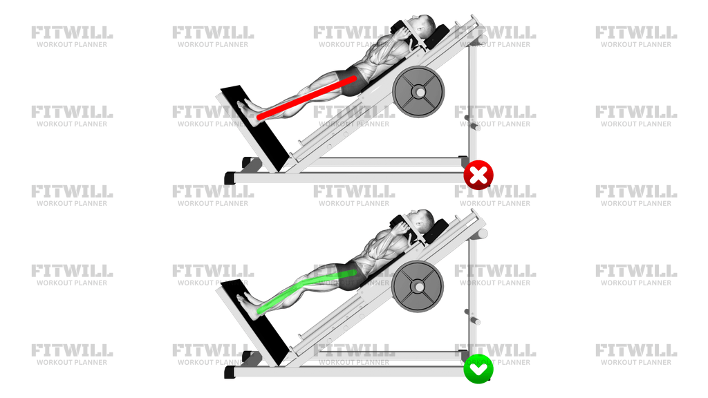 Sled Hack Squat - Legs (WRONG-RIGHT): Exercise Guide, Techniques ...