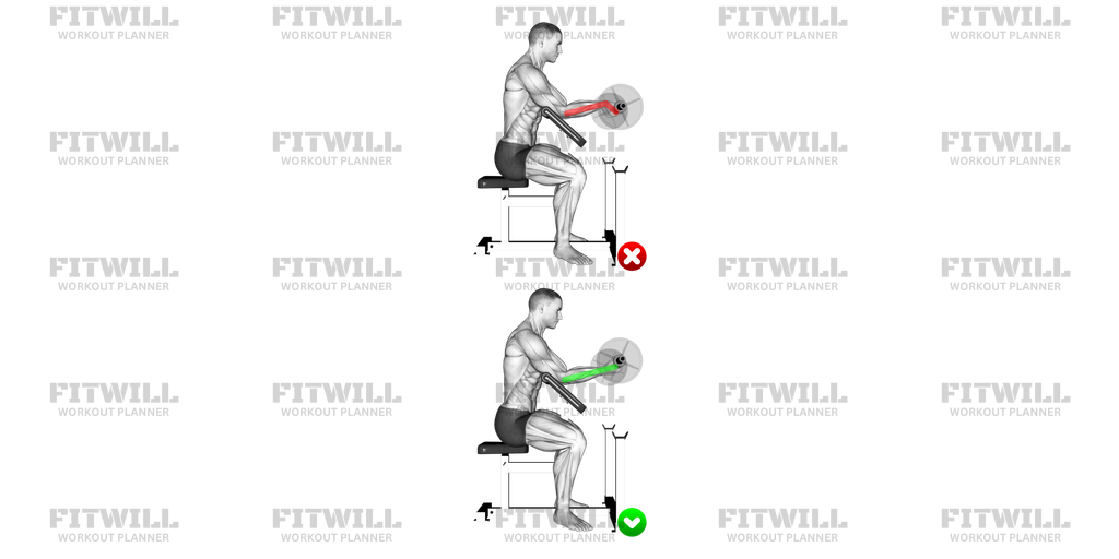 Preacher Curl Wrists WRONG-RIGHT: Exercise Guide, Video, Techniques ...