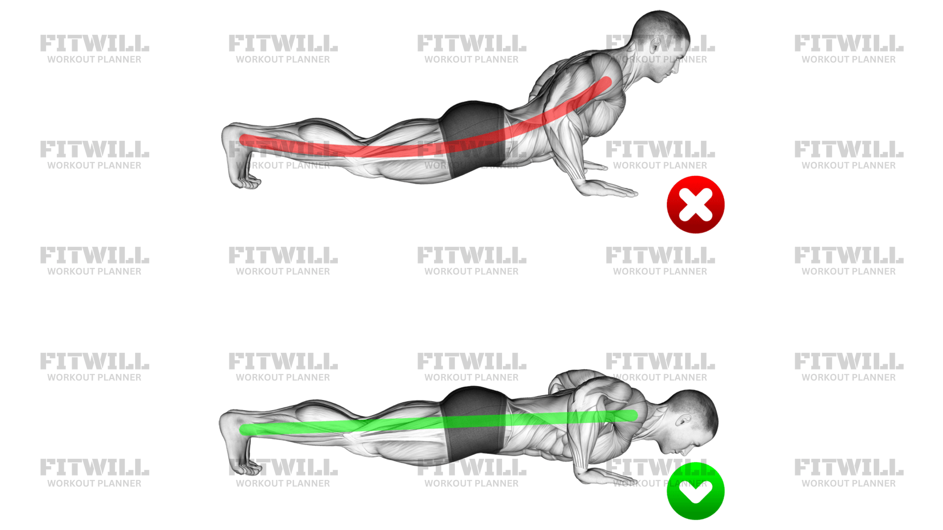 Push-up - End Position (WRONG-RIGHT): Exercise Guide, Techniques ...