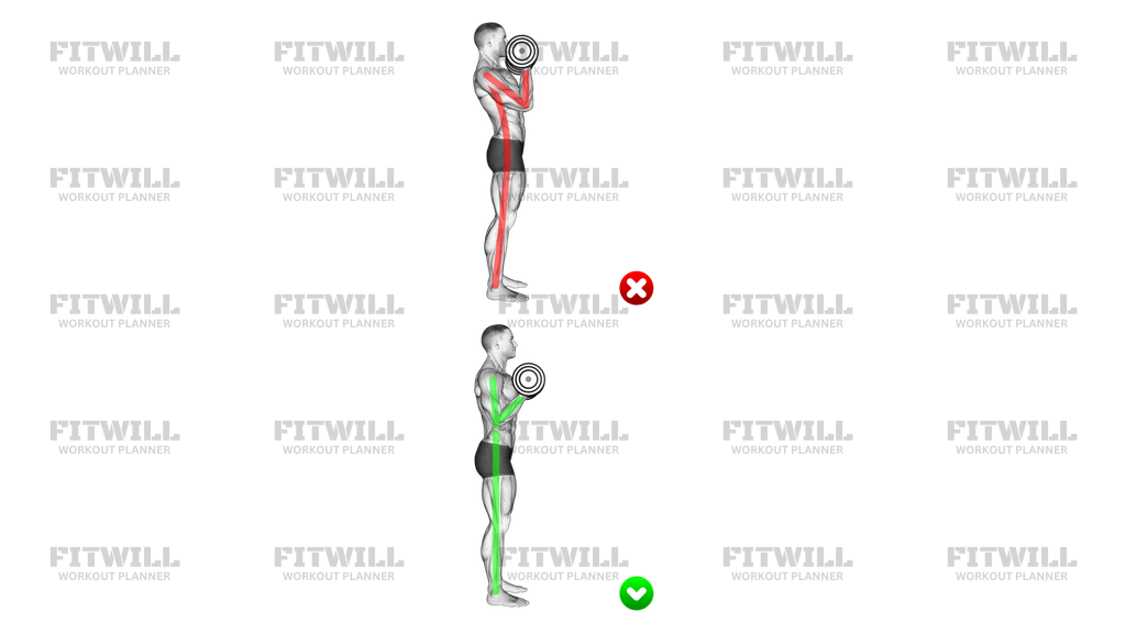 Biceps Curl - Arms Body (WRONG-RIGHT): Guide, Techniques, Benefits, How ...
