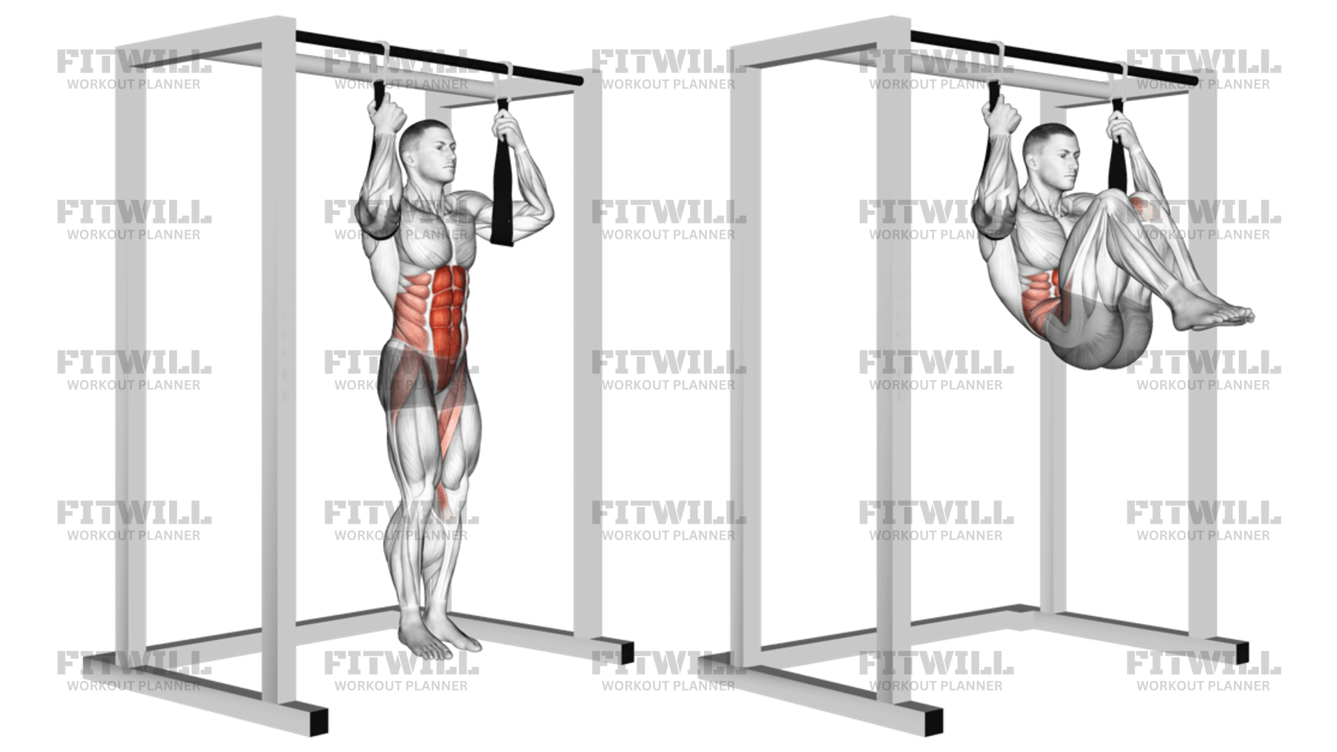 Arm Slingers Hanging Bent Knee Legs: Exercise Guide, Techniques ...