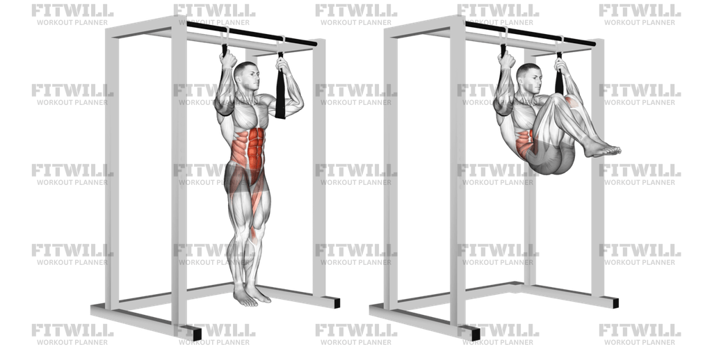 Arm Slingers Hanging Bent Knee Legs: Exercise Guide, Techniques ...