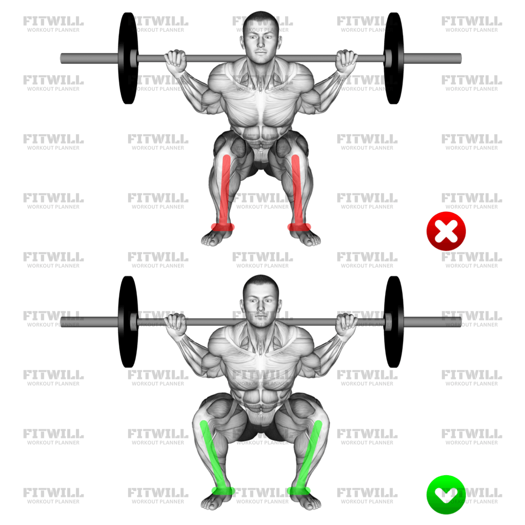 Barbell Squat - Knees - End Position (WRONG-RIGHT): Exercise Guide ...