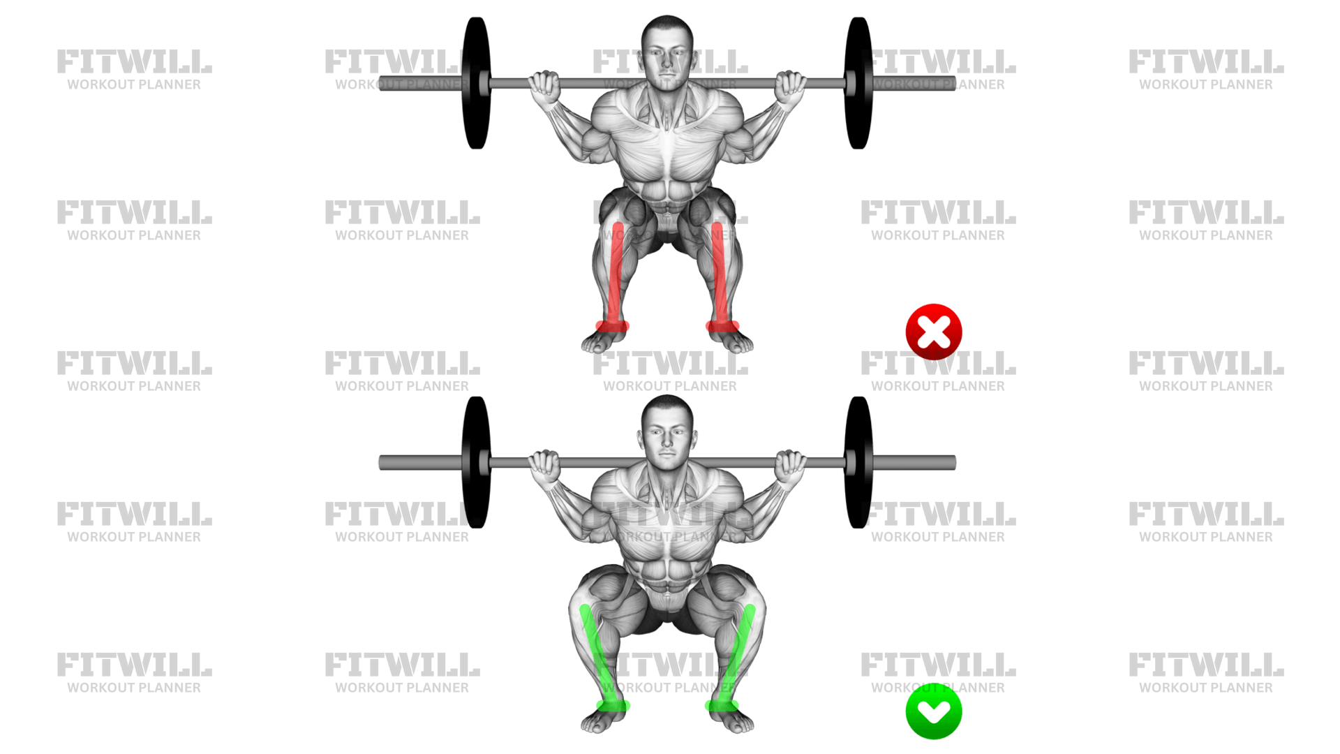 Barbell Squat - Knees - End position (WRONG-RIGHT): Guide, Techniques ...