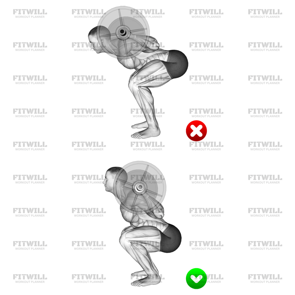 Barbell Squat - Hips (WRONG-RIGHT): Exercise Guide, Techniques ...